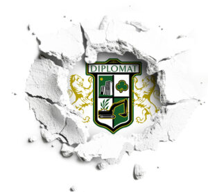 About – Diplomat Demolition